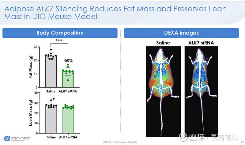 Arrowhead：脂肪递送siRNA技术进军减重赛道 Armstrong 2024年8月14日，Arrowhead举办研发日活动（part ...