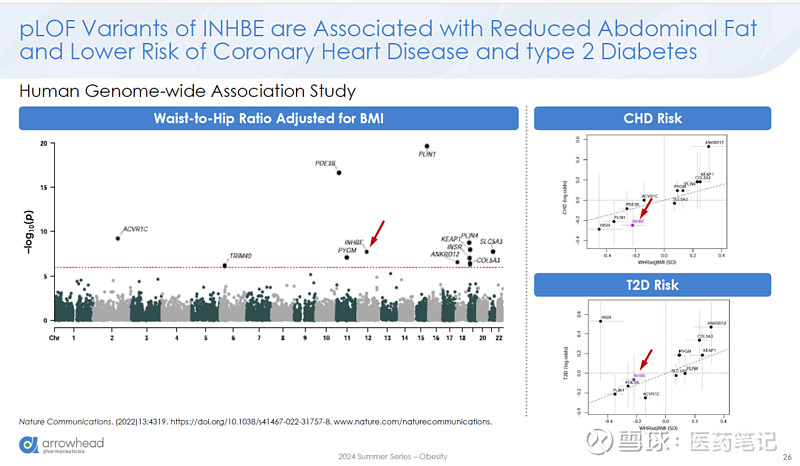 Arrowhead：脂肪递送siRNA技术进军减重赛道 Armstrong 2024年8月14日，Arrowhead举办研发日活动（part ...