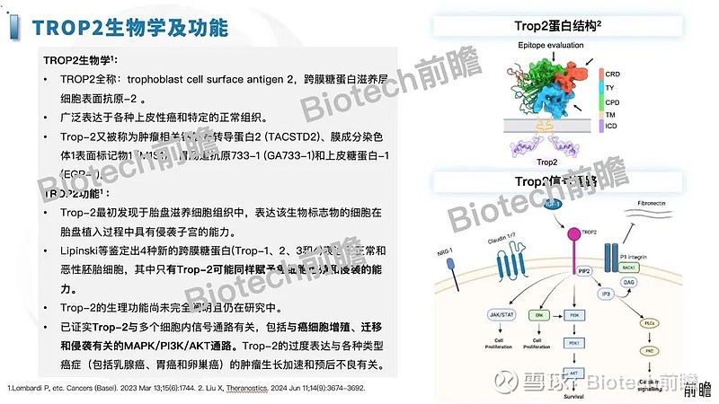 行研PPT丨【ADC重磅产品】深度分析—科伦博泰SKB-264 Trop2 ADC 赛道近年来，Trop2（人滋养细胞表面糖蛋白抗原2）的研究热度持续增加。是重要的肿瘤发展因子，其高表... - 雪球