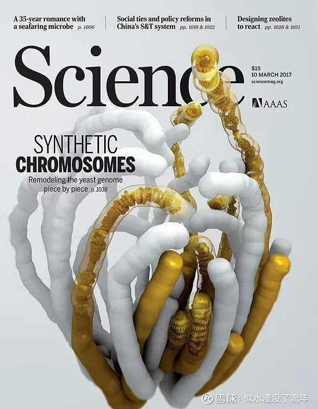 讲座回顾|方柏山教授揭秘合成生物学的前世今生 牧原 实验室 2024年08月24日 10 00 河南 牧原 实验室学术讲座 第六期8月22日