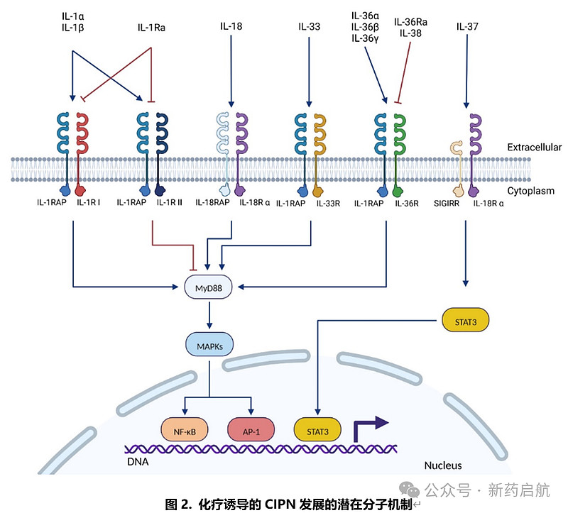 康方生物AK135治疗化疗诱导的周围神经病变逻辑是什么？ 据CDE官网近日消息， 康方生物 申请的“AK135注射液”，获得临床试验默示许可 ...