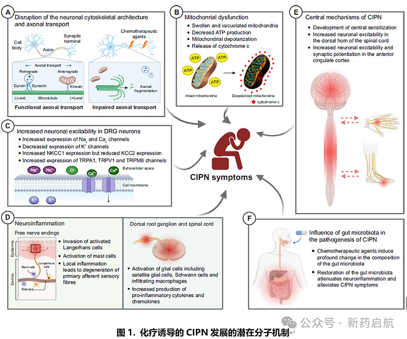 康方生物AK135治疗化疗诱导的周围神经病变逻辑是什么？ 据CDE官网近日消息， 康方生物 申请的“AK135注射液”，获得临床试验默示许可 ...