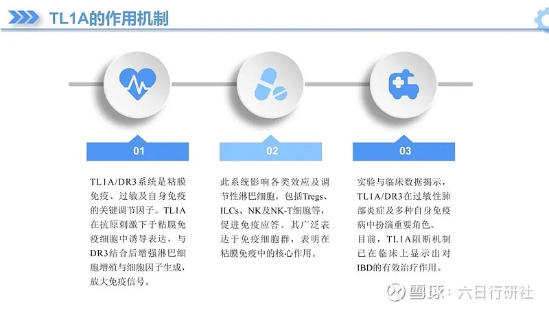 【医药.Market】TL1A靶点：引领自免及炎症性肠病药物研发的新赛道 TL1A靶点的介绍TL1A\TL1A抑制剂的作用机制IBD的临床表现及治疗靶向TL1A的药物研发进展发展前景总结在审视 ...
