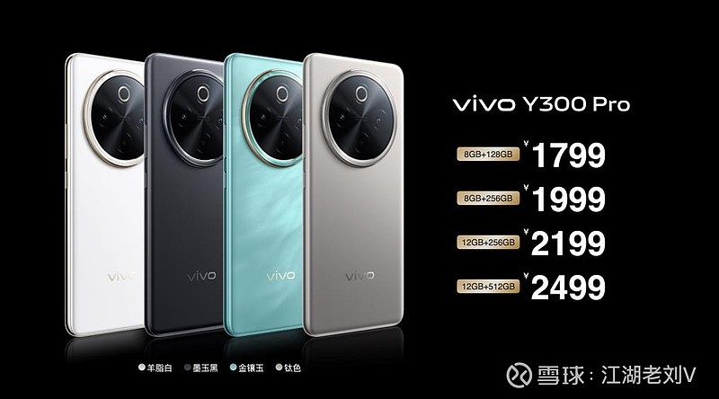 续航灭霸 钛强大 vivo Y300 Pro越级新品正式发布 2024年9月5日，vivo正式发布全新一代“越级国民手机”vivo Y300 Pro。Y系列的团队一直秉持着一颗为用户... - 雪球