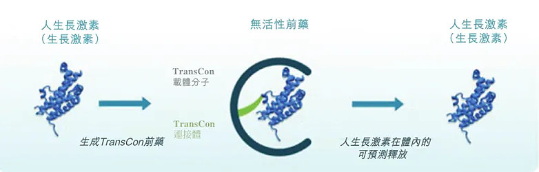 “长”治久安，生长激素进入长效新时代 人生长激素（Human Growth Hormone, hGH）是由人体脑垂体前叶分泌的一种肽类激素，在 ...