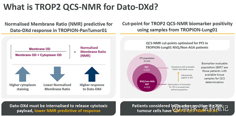 阿斯利康：Trop2 ADC错过非小细胞肺癌三期临床OS终点 Armstrong 2024年9月9日， 阿斯利康 在WCLC会议上公布了 ...