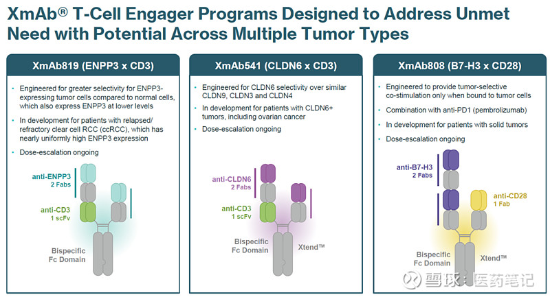 Xencor大涨23%：大举进军自免赛道 Armstrong 2024年9月9日，抗体工程 biotech 公司 Xencor 召开研发策略电话会，更新了研发管... - 雪球