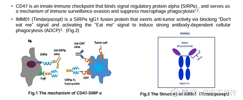 宜明昂科IMM01：CD47血液瘤最后的战役 转载自Umabs DB2024年6月的ASCO期间， 宜明昂科 更新了SIRPα-Fc融合蛋白IMM01最新的二期临床数... - 雪球