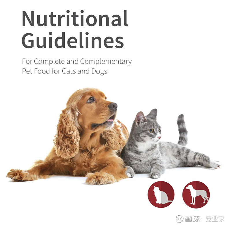 重磅丨FEDIAF发布新版猫狗营养标准指南，有何变化？ 作为欧洲和全球宠物营养的主要参考标准之一，FEDIAF此次更新与之前有哪些差异？又会对 ...