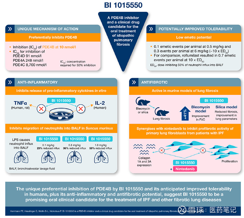 勃林格殷格翰：PDE4B抑制剂特发性肺纤维化三期临床成功 Armstrong 2024年9月16日，勃林格殷格翰宣布PDE4B抑制剂 ...