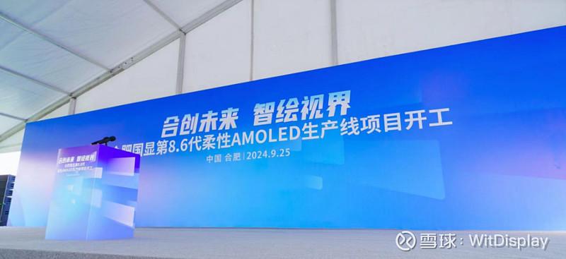 总投资550亿！全球首条8.6代ViP OLED产线开工 9月25日，合肥国显科技有限公司（以下简称“合肥国显”）举行第8.6代AMOLED生产线开工活动。合肥国显将打造全球首条... - 雪球