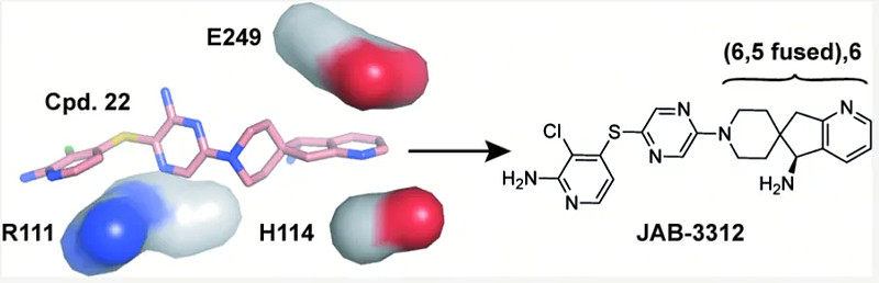 SHP2成药之旅：破局、热潮、遇冷与希望 1992年，Masaaki Adachi等科学家首次发现了SHP2，这是一种新型的与Src同源结构域 ...
