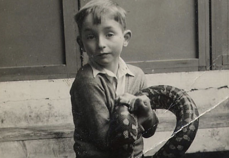 诺奖得主Geoffrey Hinton：我的五十年深度学习生涯与研究心法 ｜ 大家谈 来源 | OneFlow社区作者 | The Robot ...