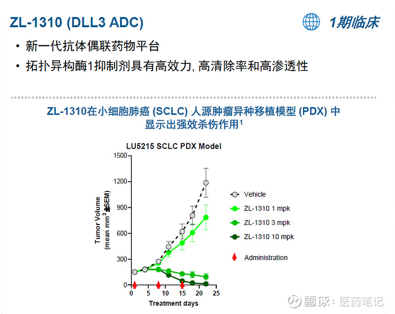 再鼎医药：DLL3 ADC临床数据积极，有望为小细胞肺癌带来新突破 Armstrong 2024年10月24日， 再鼎医药 宣布在EORTC ...