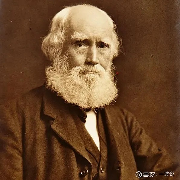 英国购物圣地，160年John Lewis百货如何从家族企业变成员工合伙？ 英国旅游除了参观知名景点外，许多人也会将逛当地的百货公司作为自己 ...