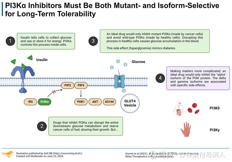PI3K-α抑制剂：Relay Therapeutics 凭借 RLY-2608 设定了高标准。STX-478 能否打败RLY-2608？ PI3K-α抑制剂： Relay ...