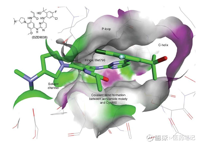 首个！中国源创肺癌靶向药向FDA递交NDA申请 Armstrong 2024年11月8日， 迪哲医药 宣布，自主研发的肺癌靶向药舒沃替尼向 ...