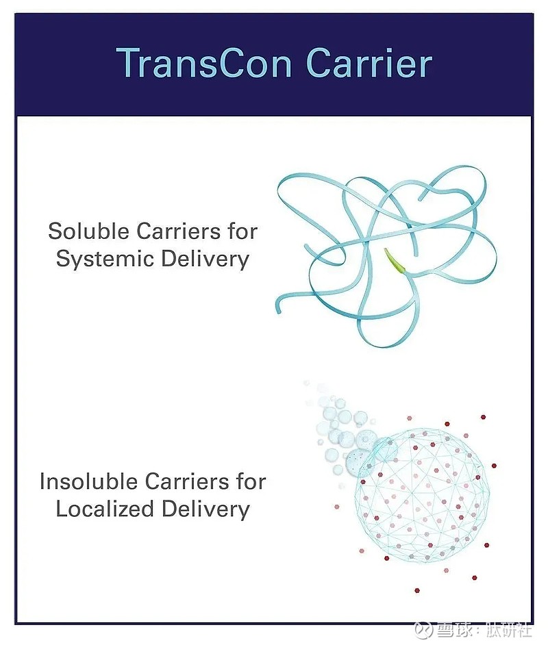 TidesPro | Novo Nordisk获TransCon长效制剂平台独家授权 2024年11月4日， Ascendis Pharma ...