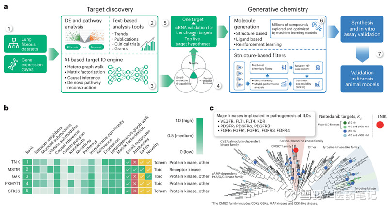 英矽智能：抗IPF候选药物IIa期数据公布，AI驱动FIC新药获得里程碑式进展 Armstrong 2024年11月12日，英矽智能自研领先 ...
