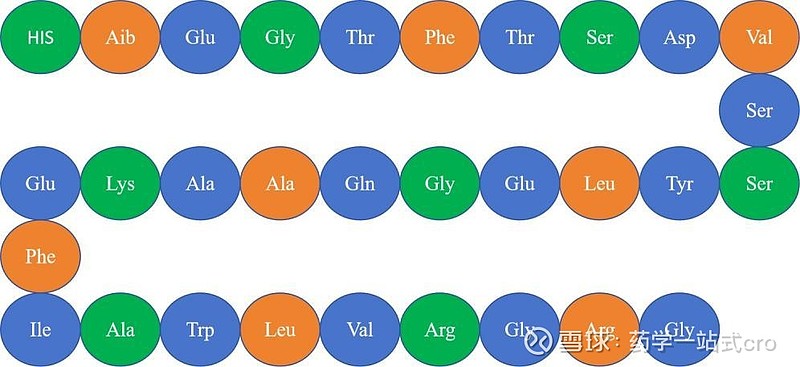 司美格鲁肽的氨基酸组成及氨基酸比值分析研究 ICH Q6B指南要求，多肽和小分子蛋白质药物的结构鉴定和确证时，需研究其氨基酸组成，将测定结果与 ...