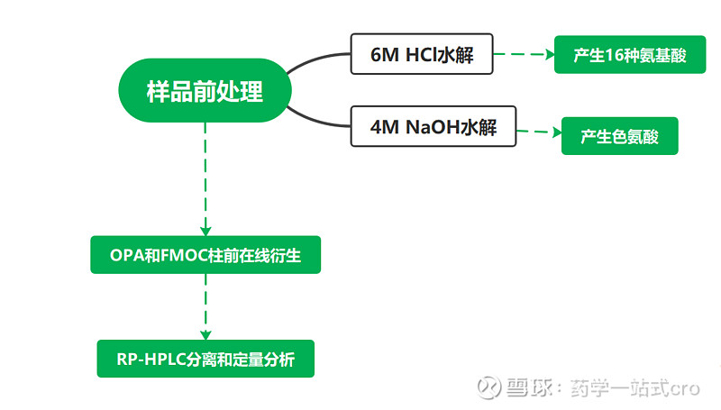司美格鲁肽的氨基酸组成及氨基酸比值分析研究 ICH Q6B指南要求，多肽和小分子蛋白质药物的结构鉴定和确证时，需研究其氨基酸组成，将测定结果与 ...