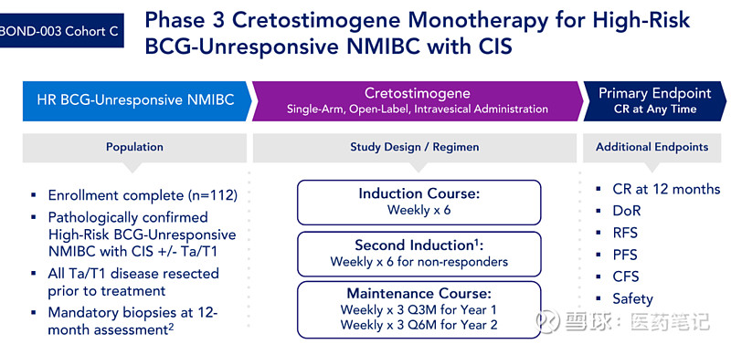 CG Oncology：溶瘤病毒NMIBC取得突破疗效，乐普生物拥有大中华区权益 Armstrong 2024年12月5日， CG ...