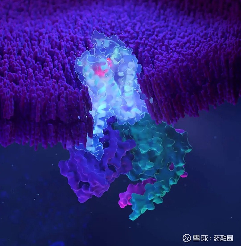挖掘GPCR潜在靶点，这家含着“金钥匙”的NewCo药企IPO 注：本文不构成任何投资意见和建议，以官方/公司公告为准；本文仅作 医疗健康 相关药物介绍，非治疗方案推荐（若涉及），不代... - 雪球