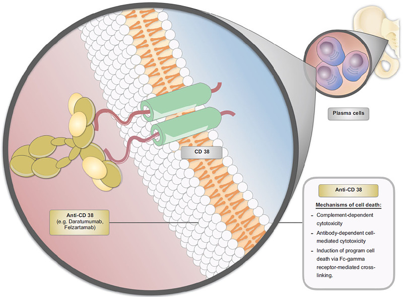 从云顶新耀EVER001公布数据看膜性肾病治疗前景 12月4日，$云顶新耀-B(01952)$ 公布了新一代共价可逆的BTK抑制剂 ...
