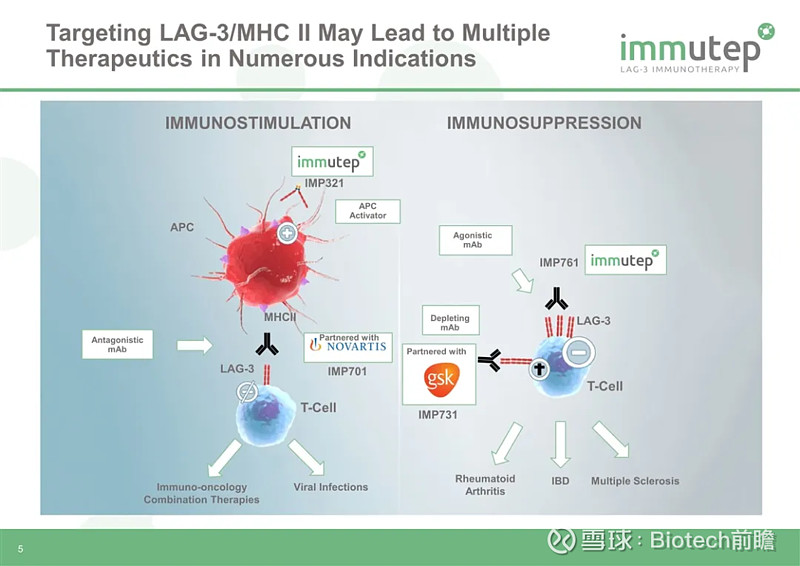 Immutep加速推进 LAG-3单抗，开展NSCLC 3期 LAG-3单抗LAG3靶点是继CTLA-4、PD-1/L1之后第三个应用于临床的 ...