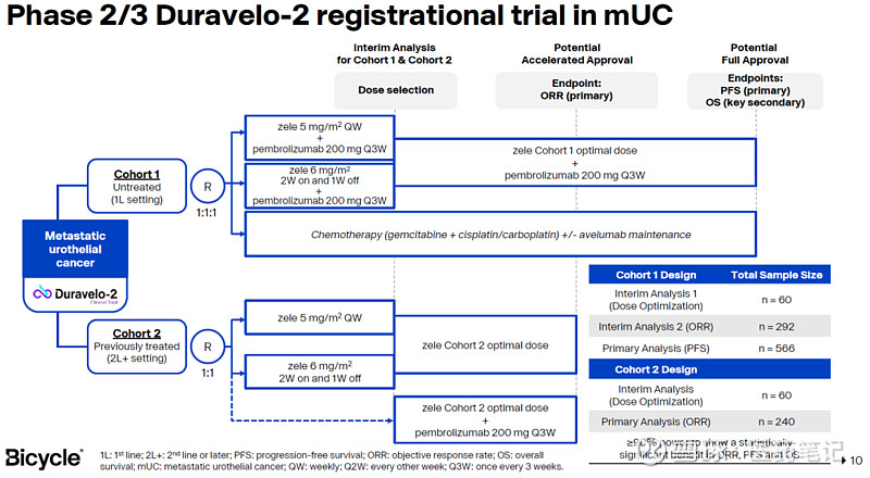PDC再遇挫：Bicycle大跌31%，Nectin-4 PDC疗效不及预期 Armstrong 2024年12月12日，Bicycle ...