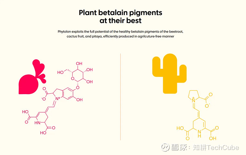 Phytolon精密发酵天然食品色素，替代合成染料的色彩创新 知耕快讯旨在以更精简概要的形式，为大家追踪传递近日值得前沿 生物科技 领域同行者 ...