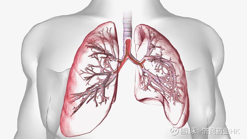 每日服用一次！囊性纤维化三联药物ALYFTREK在美获批 福泰制药 的囊性纤维化新药ALYFTREK在美国获得上市批准，这种药物针对疾病的根本 ...