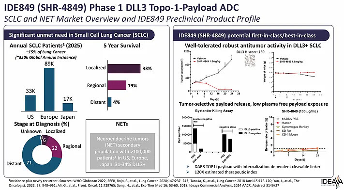 恒瑞助燃DLL3 ADC 12月29日， 恒瑞医药 的一则公告再次将Delta样配体3（DLL3）这一高潜靶点推至聚光灯下。其DLL3 ADC ...
