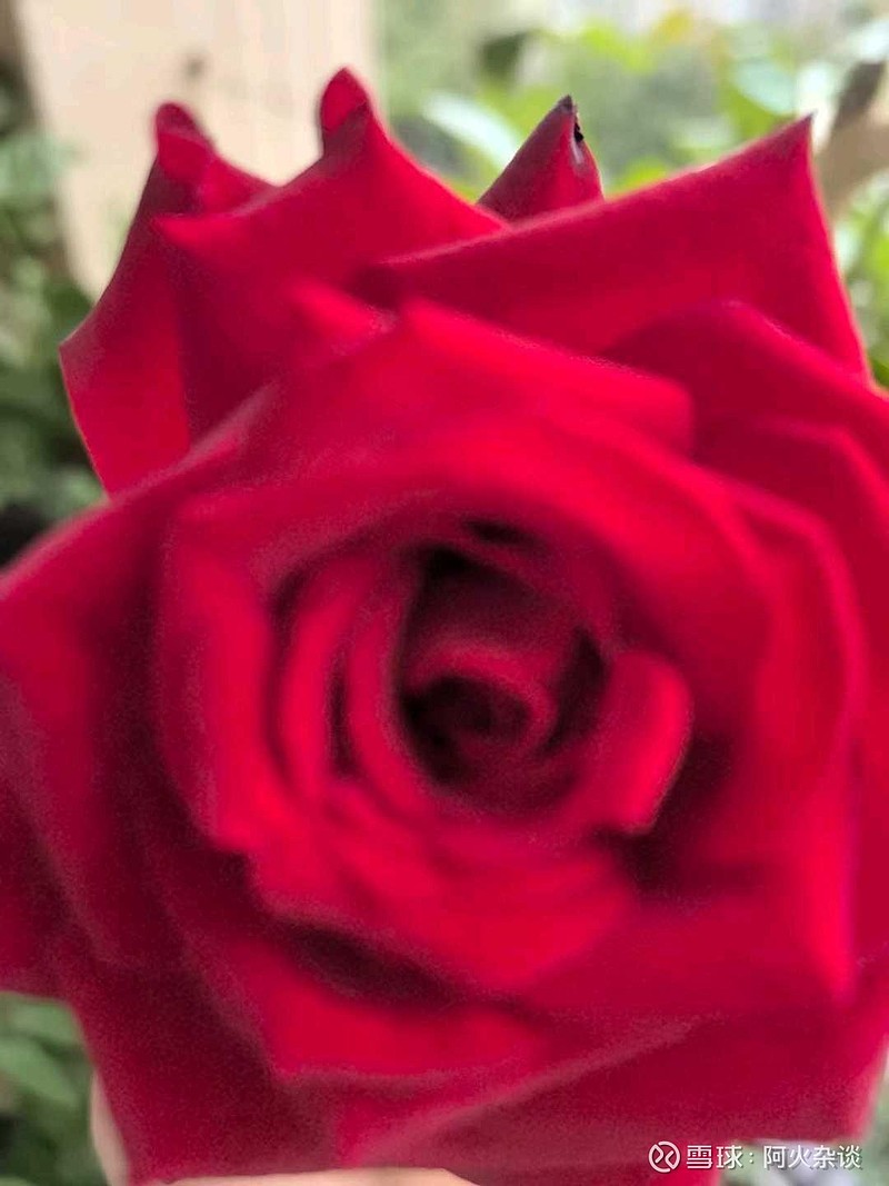 扬杰科技VS士兰微VS斯达半导VS华润微 公开信息，不做任何评价。2024年研发投入费用的相关情况：- 扬杰科技 ：2024年上半年，研发费用 ...