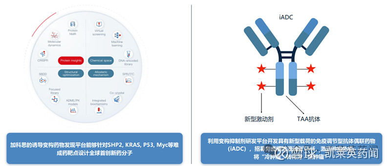 发表Nature子刊！加科思首次公开戈来雷塞治疗KRAS G12C突变的二线以及上肺癌患者的完整数据 欢迎关注 凯莱英 药闻今日， 加科思 药业宣布，其自主研发的KRAS G12C抑制剂戈来雷 ...