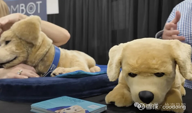 CES2025上的机器人，陪伴型及医疗健康机器人篇 萌友智能，Ropet宠物机器人推出了AI宠物Ropet，具备多感官交互能力，集成chatgpt可与用户进行互动，其个性会... - 雪球