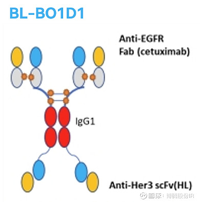 技术前沿 | 双抗ADC的CMC工艺开发挑战与解决方案 #万物偶联 抗体偶联药物（Antibody-Drug Conjugate, ADC ...