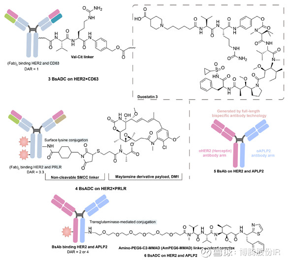 技术前沿 | 双抗ADC的CMC工艺开发挑战与解决方案 #万物偶联 抗体偶联药物（Antibody-Drug Conjugate, ADC）作为一种新型抗体药物，通过将靶向特异... - 雪球