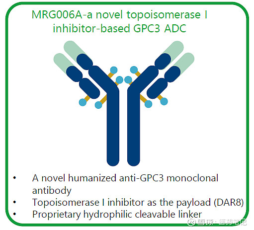 12亿美元：乐普生物临床前ADC新药授权给ArriVent Armstrong 2025年1月22日， 乐普生物 宣布将创新ADC新药 ...