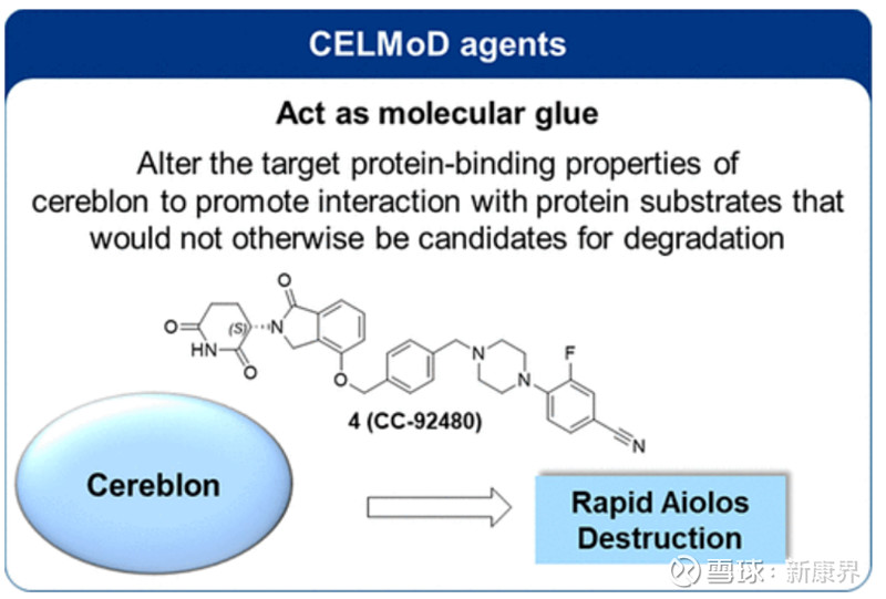 分子胶的一片蓝海 2025年开年以来，分子胶领域重磅消息不断。 先是达歌生物完成超2000万美元A+轮融资，用于推进新型分子胶降解剂的临床 ...