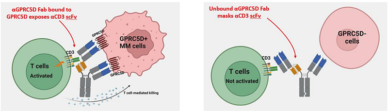 国内TCE疗法“第一股”驶向新蓝海 在肿瘤和自身免疫性疾病赛道，一场无声的变革正在上演——T细胞衔接器（T-Cell Engager, TCE ...