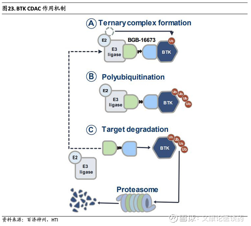 百济神州：从实验室迈向全球化，中国Biopharma龙头正在破茧成蝶（下） 2. BTK抑制剂+BCL-2抑制剂+BTK CDAC打造血液瘤可 ...