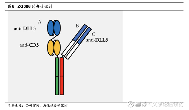 泽璟制药：收获期已至，看好ZG005和ZG006的全球竞争力 ⚫ 投资要点 深耕创新药研发，公司正在迈入管线收获期。 泽璟制药 成立于2009 ...