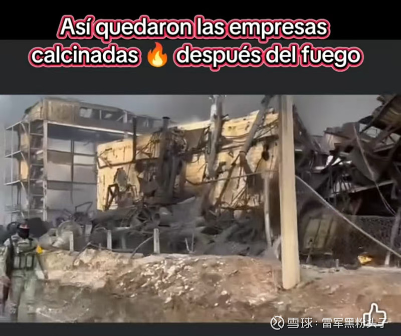 关于墨西哥 Kandelium化工厂受灾情况调查 据央视网 2025 年 3 月 6 日报道，墨西哥新莱昂州一天内发生 239 起火情。据 ...