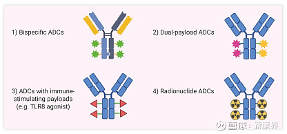 喜忧参半，双抗ADC进击之路 近几年双抗ADC研发火热，国内项目出海重磅交易不断。2023年12月 百利天恒 与BMS达成84亿美元的合作协议 ...