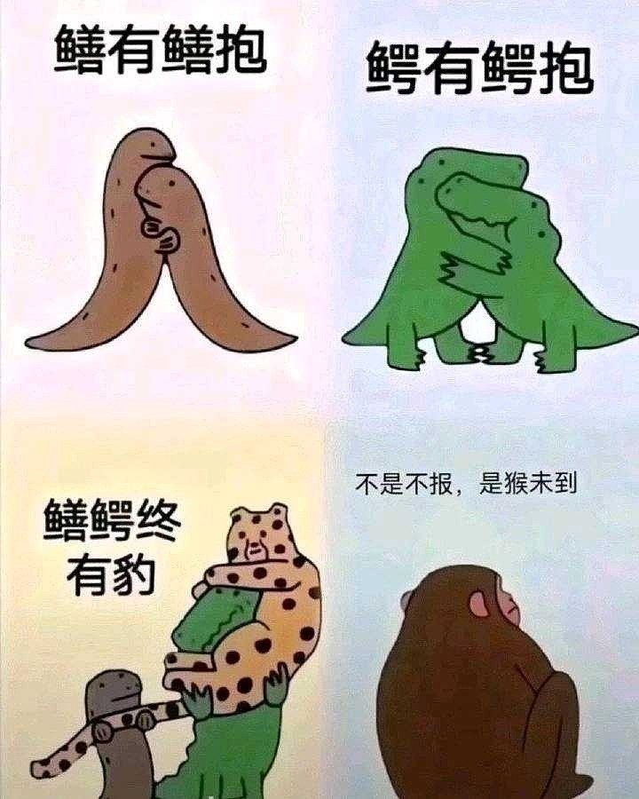 $赛力斯(SH601127)$ $比亚迪(SZ002594)$周末两天问界M9， 比亚迪 N9 嘴pao对轰的那是如火如... - 雪球