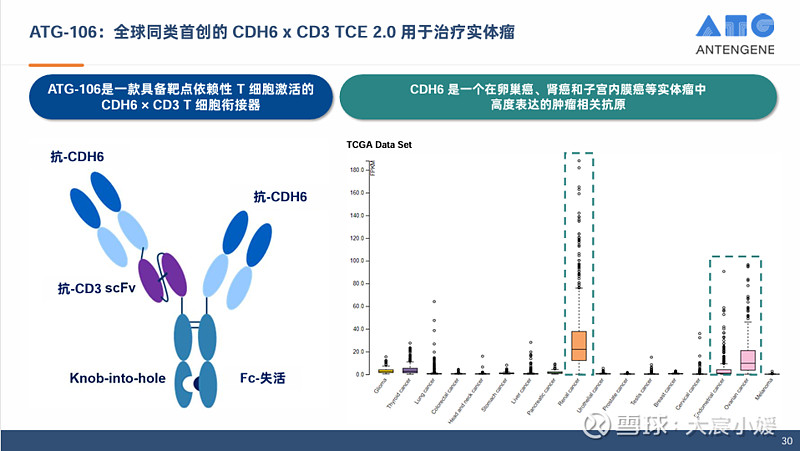 $德琪医药-B(06996)$ 德琪医药：ADC和TCE双向驱动 原创 UmabsDB 2025年03月... - 雪球