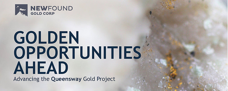 NFGC的金矿项目进展和预期收益 New Found Gold Corp.（AMEX: NFGC） $New Found Gold(NFGC ...