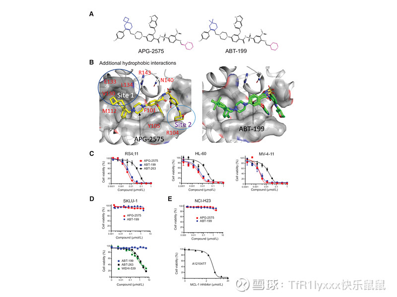 志弗休者，虽难必易；行不止者，虽远必臻：从BCL-2到亚盛医药的APG2575 一直有和大家分享 亚盛医药 相关内容的想法，想过几个角度，最终 ...