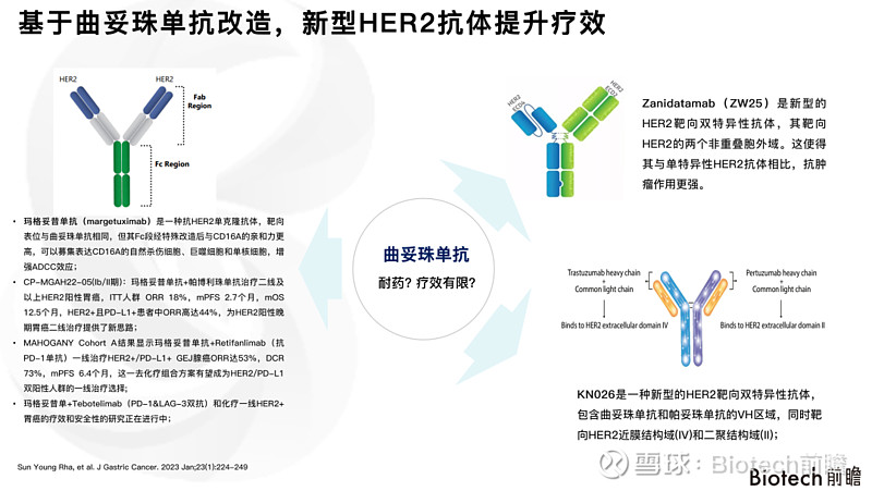 2025CSCO胃癌指南丨Her2表达的临床新定义，从两分类到四分类 添加图片注释，不超过 140 字（可选）添加图片注释，不超过 140 字 ...